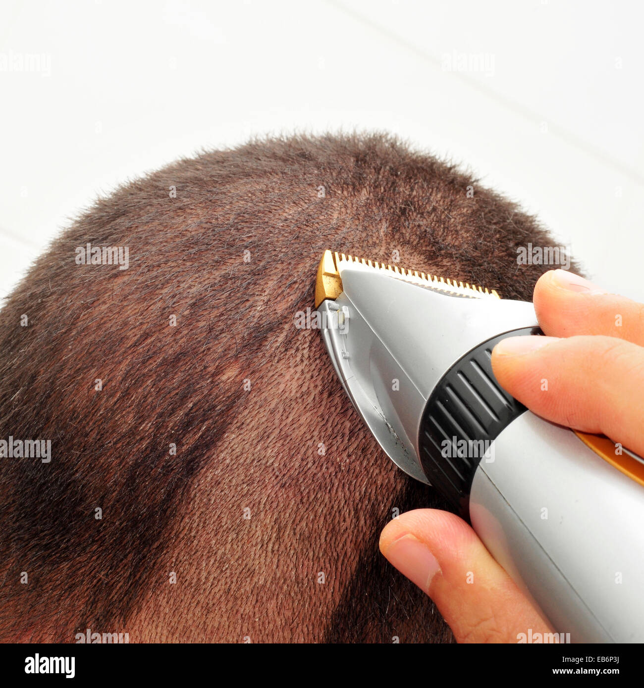 Cutting device hi-res stock photography and images - Alamy