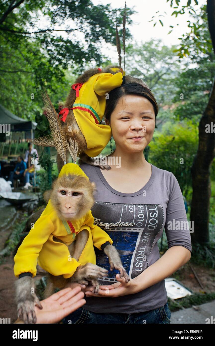 Monkeys lifestyle hi-res stock photography and images - Alamy