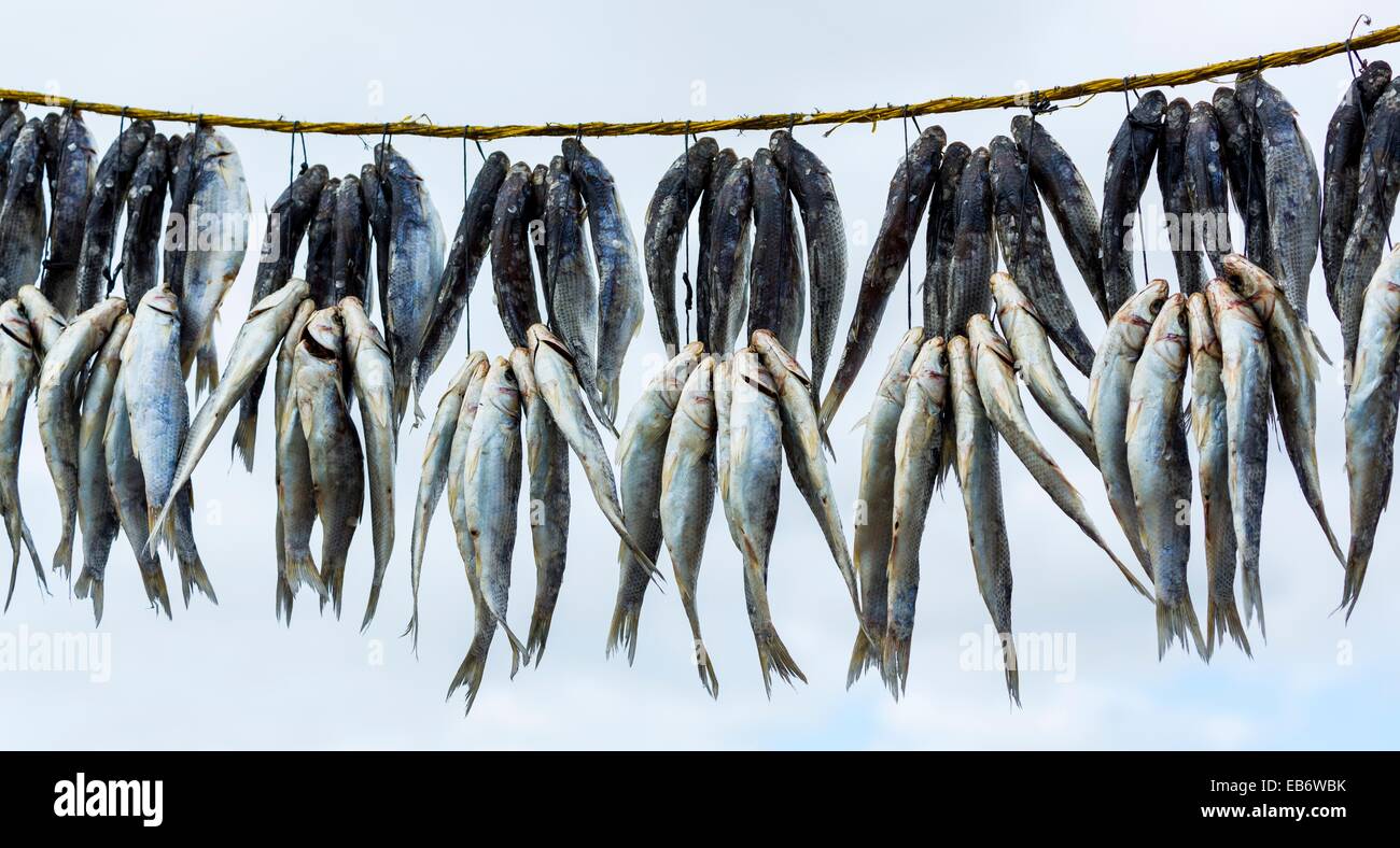 Berg river south africa hi-res stock photography and images - Alamy