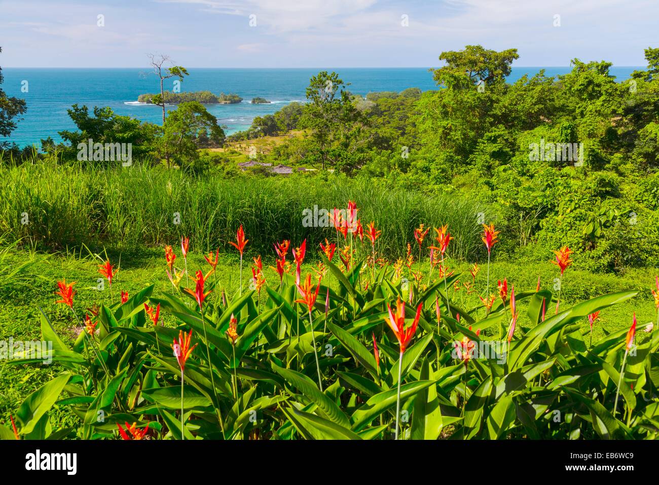 Isla bastimentos national marine park hi-res stock photography and ...
