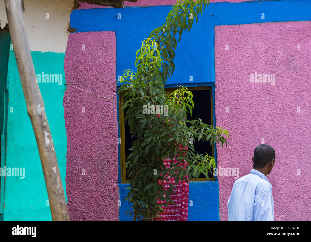 Indigenous peoples day plant hi-res stock photography and images - Alamy