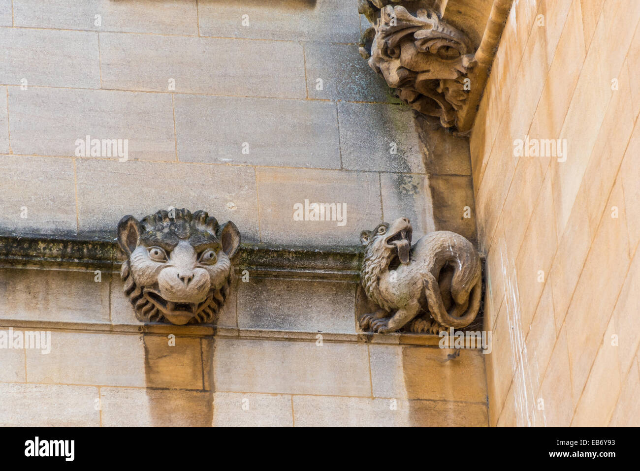 Grotesques on the Bodleian Library, Oxford University Stock Photo - Alamy