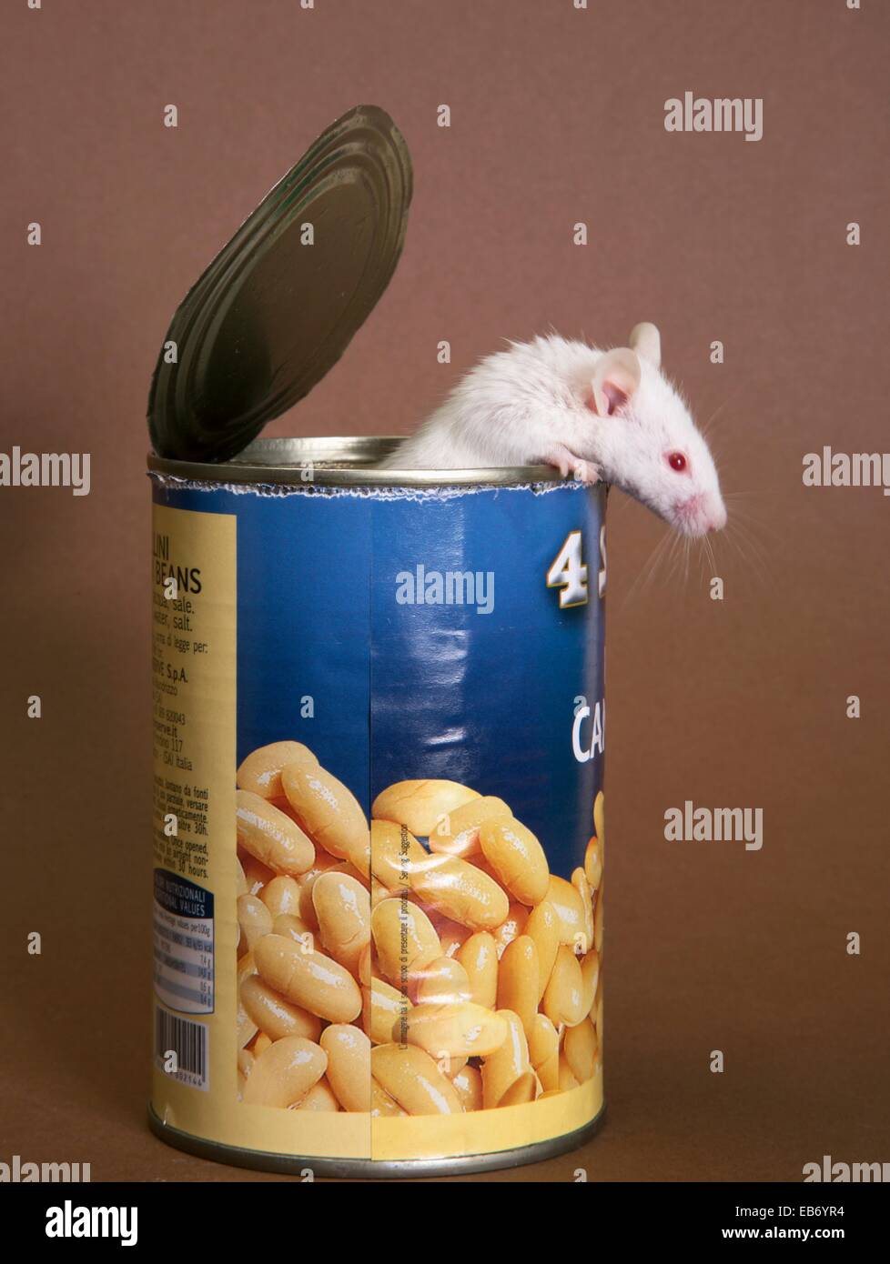 Can of beans beach hi-res stock photography and images - Alamy