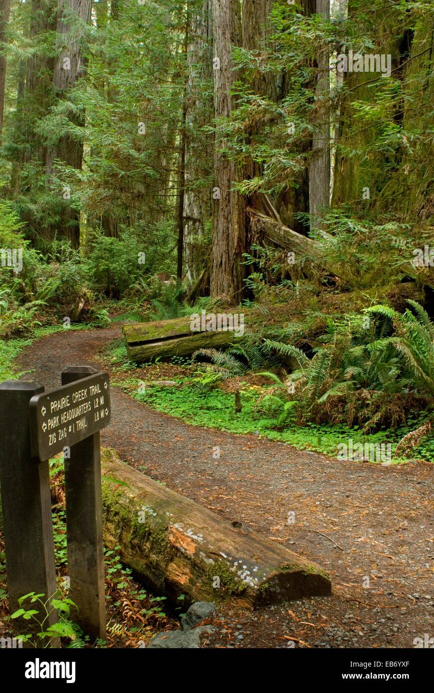 Sequoia sign hi-res stock photography and images - Alamy