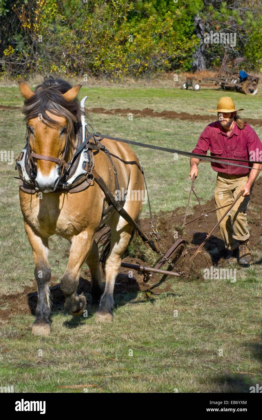 Man ploughing field using traditional hi-res stock photography and ...