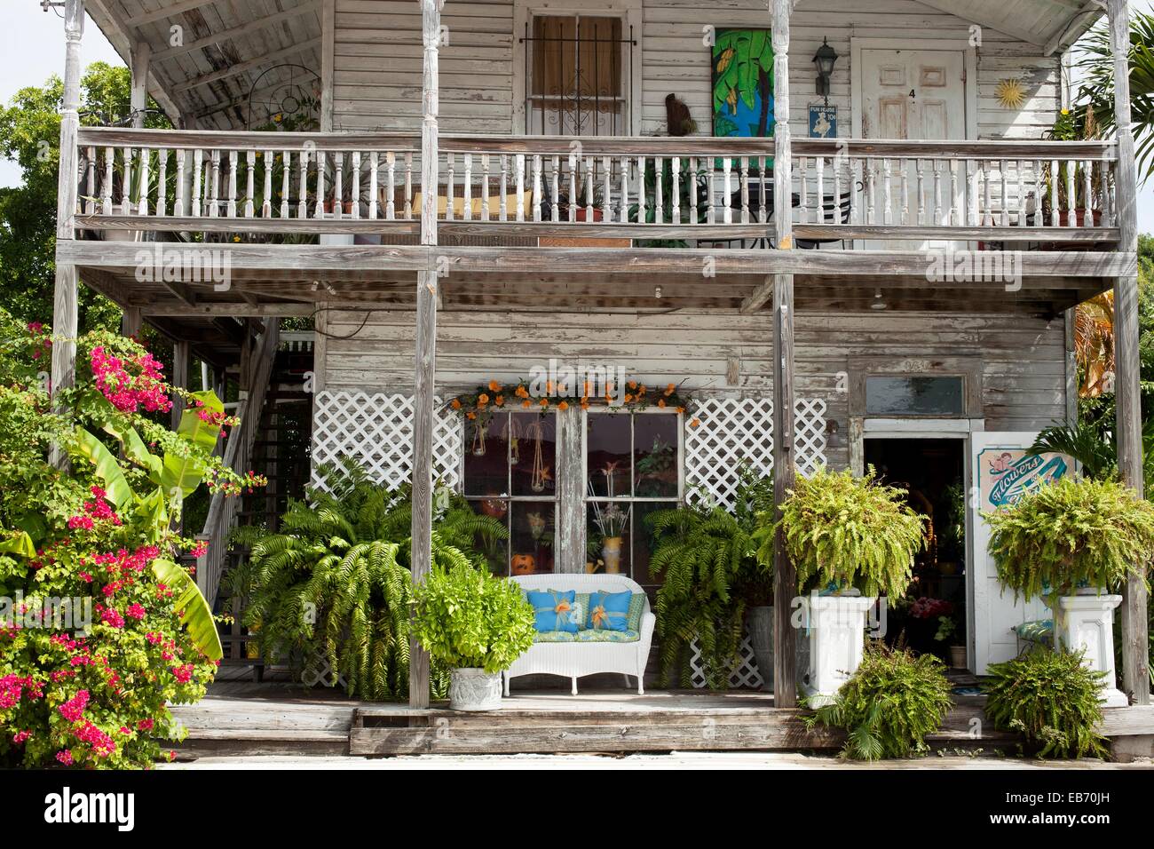Flower key west hi-res stock photography and images - Alamy