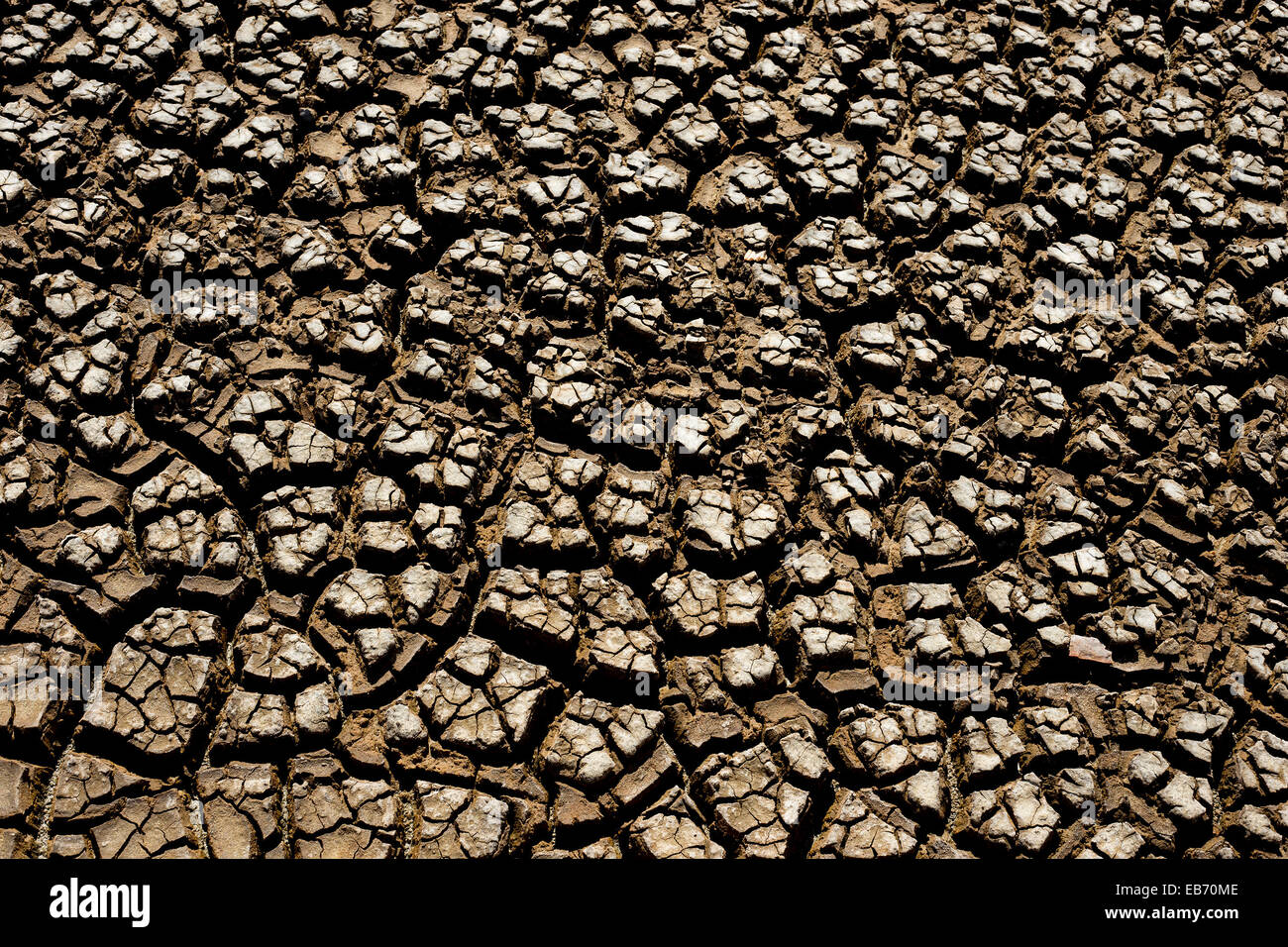 Field full of mud hi-res stock photography and images - Alamy