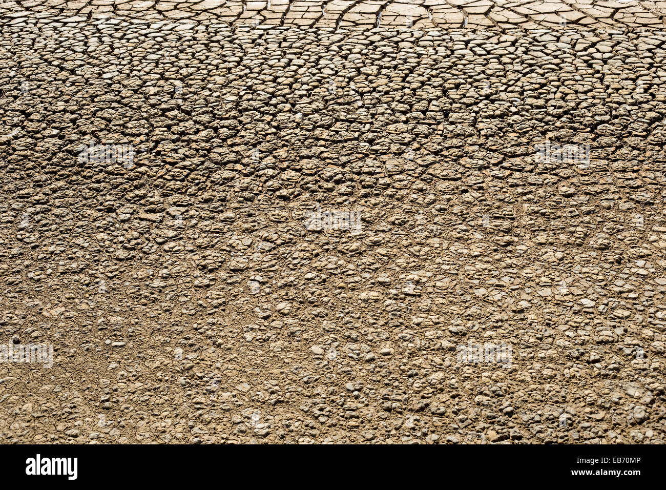 Slimy texture hi-res stock photography and images - Alamy
