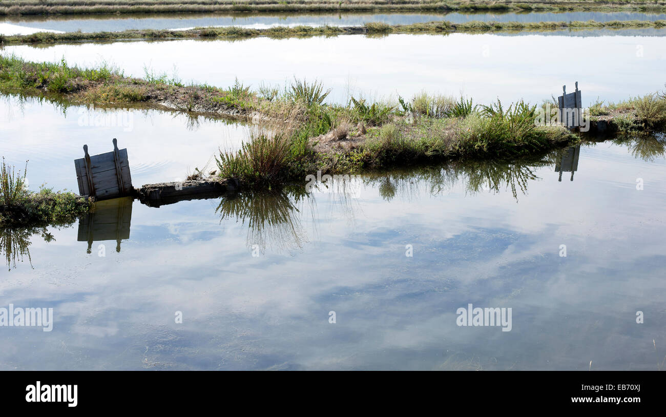 Old mining lake marine sedimentary salt, summer season Stock Photo - Alamy