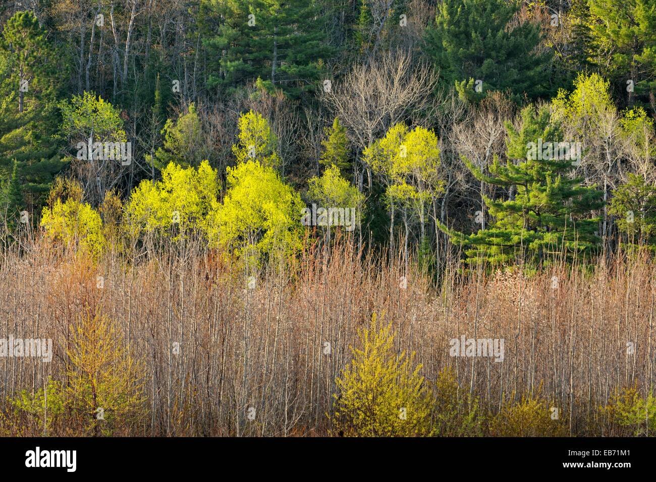 Espanola canada hi-res stock photography and images - Alamy