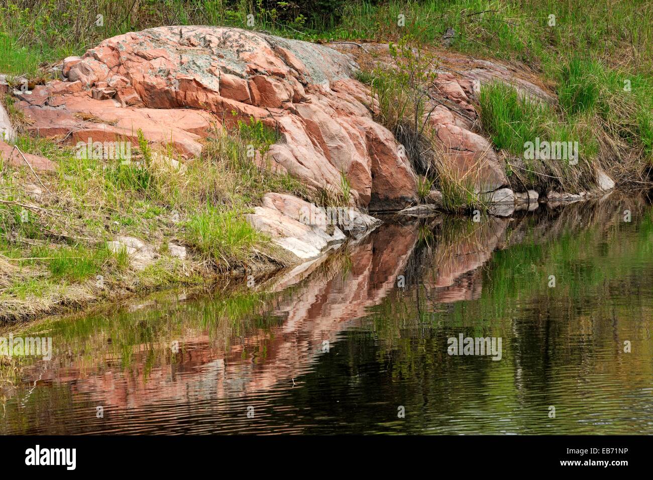 Canadian Shield granite outcrops reflected in a beaver pond, Killarney ...