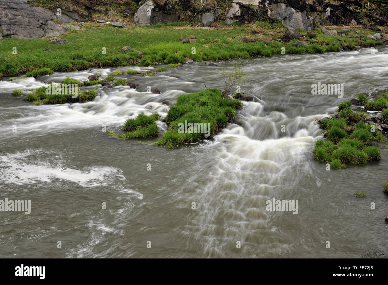 Native riverbank nature flora hi-res stock photography and images - Alamy
