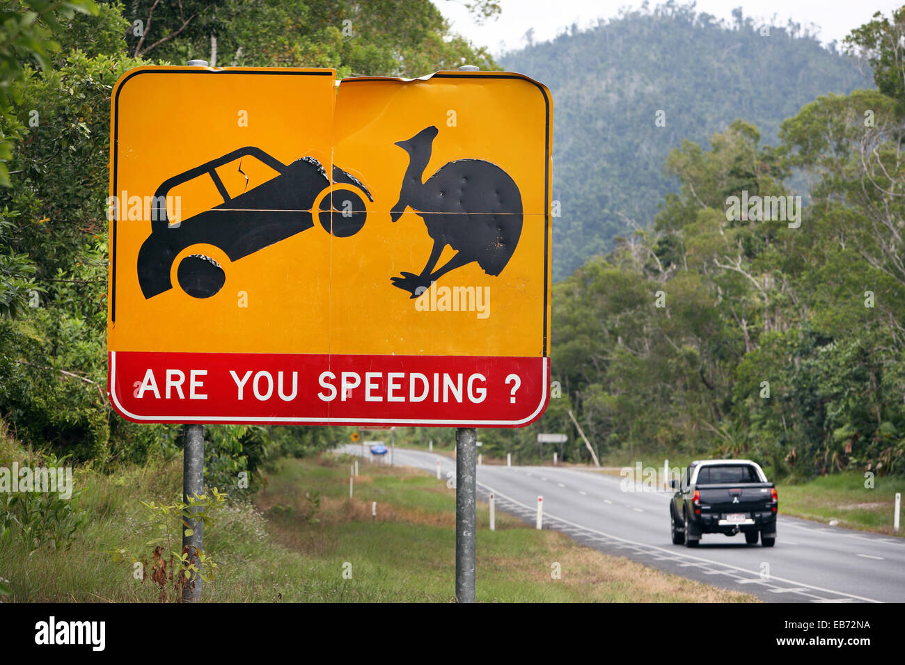 Cassowary Road Sign High Resolution Stock Photography and Images - Alamy