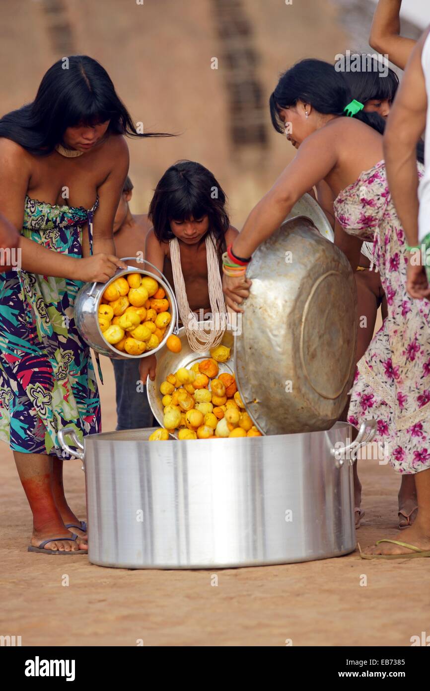 Pequia hi-res stock photography and images - Alamy