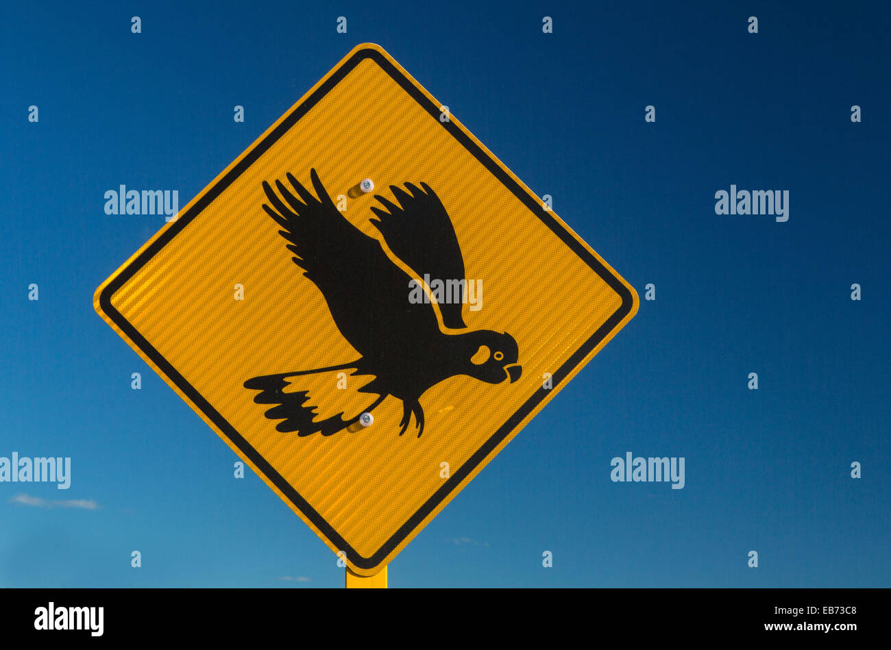 traffic sign warns for cockatoos Stock Photo - Alamy