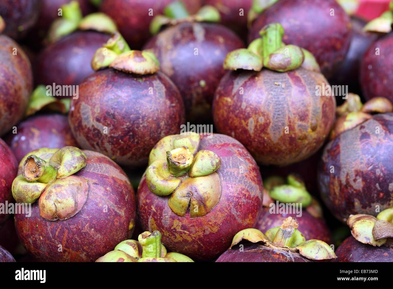Mangostinos hi-res stock photography and images - Alamy