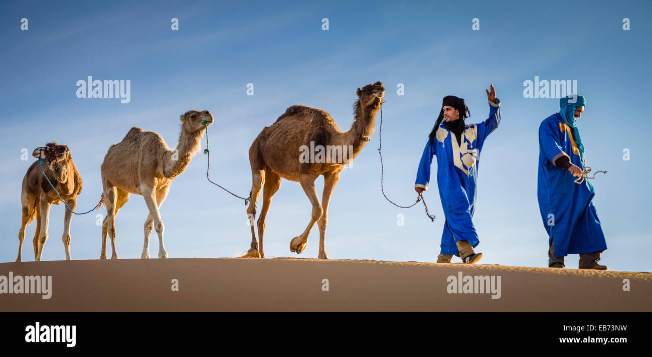 Arab Caravan Stock Photos & Arab Caravan Stock Images - Alamy