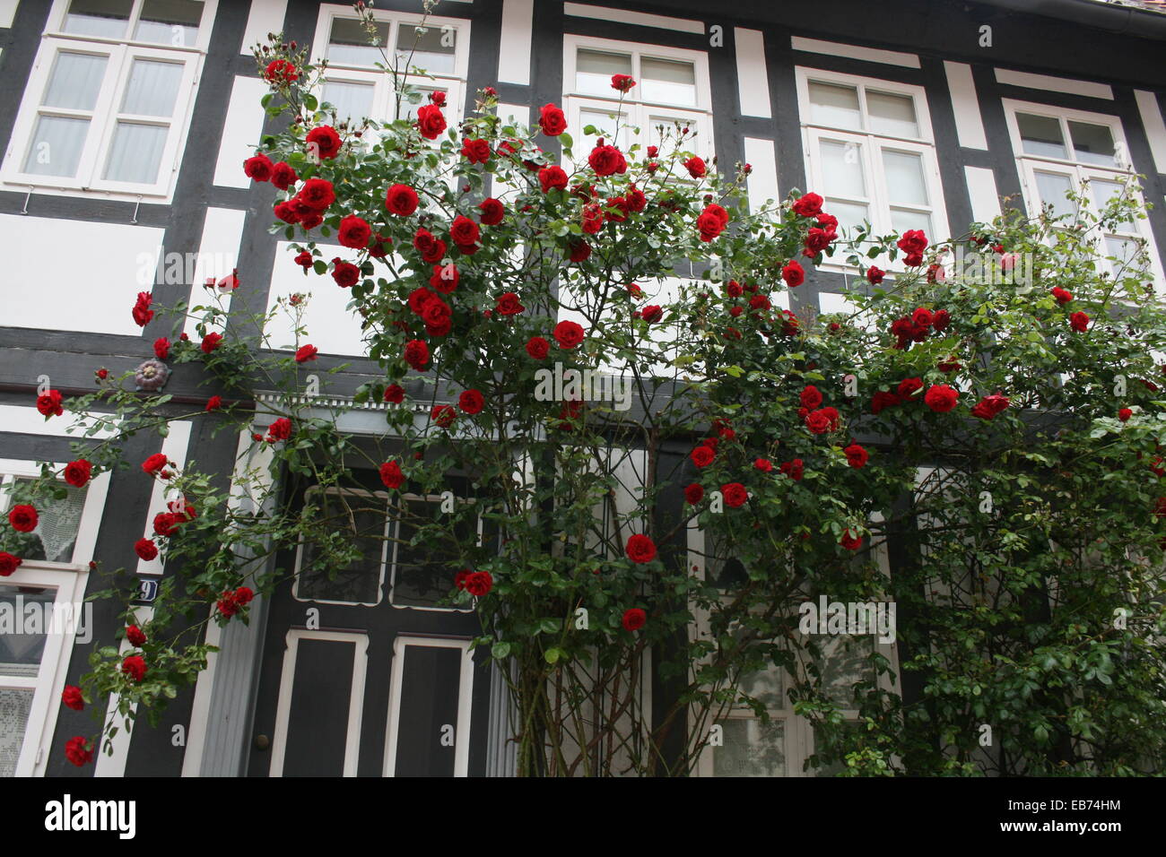 Red timber houses hi-res stock photography and images - Alamy