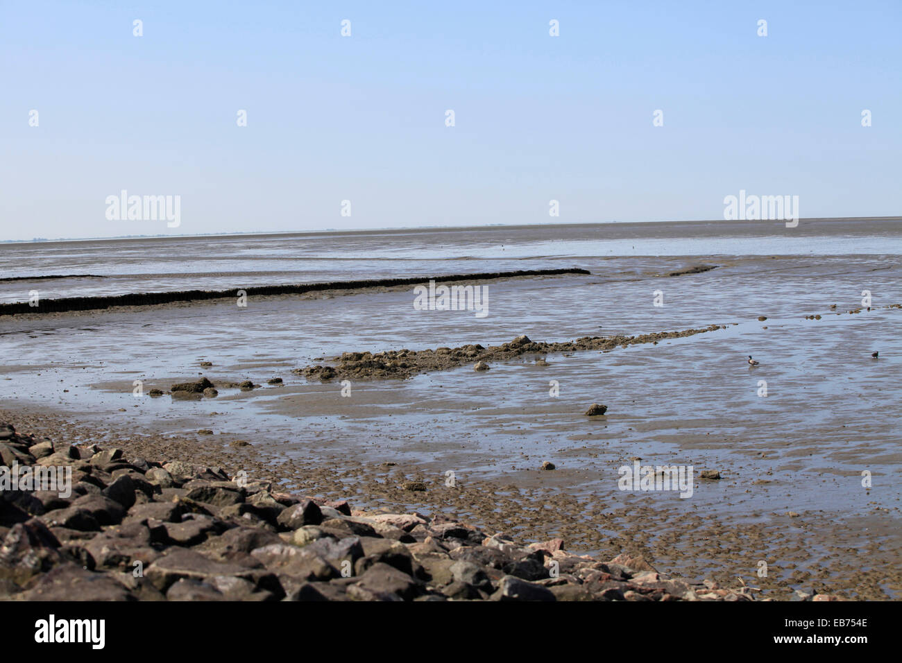 The land reclamation in the Wadden on the North Sea coast has a great ...
