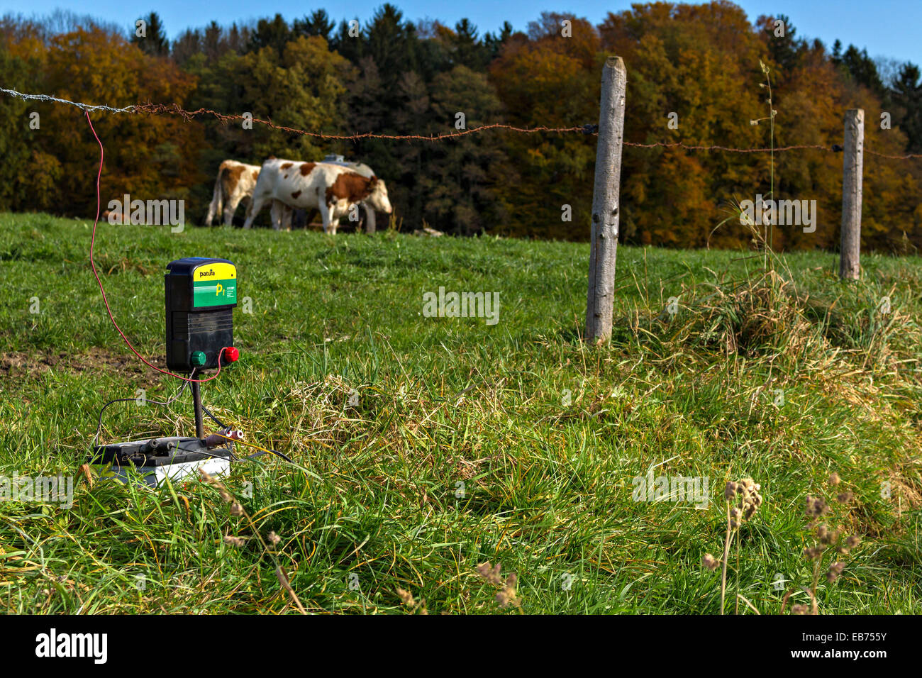 Battery coil hi-res stock photography and images - Alamy