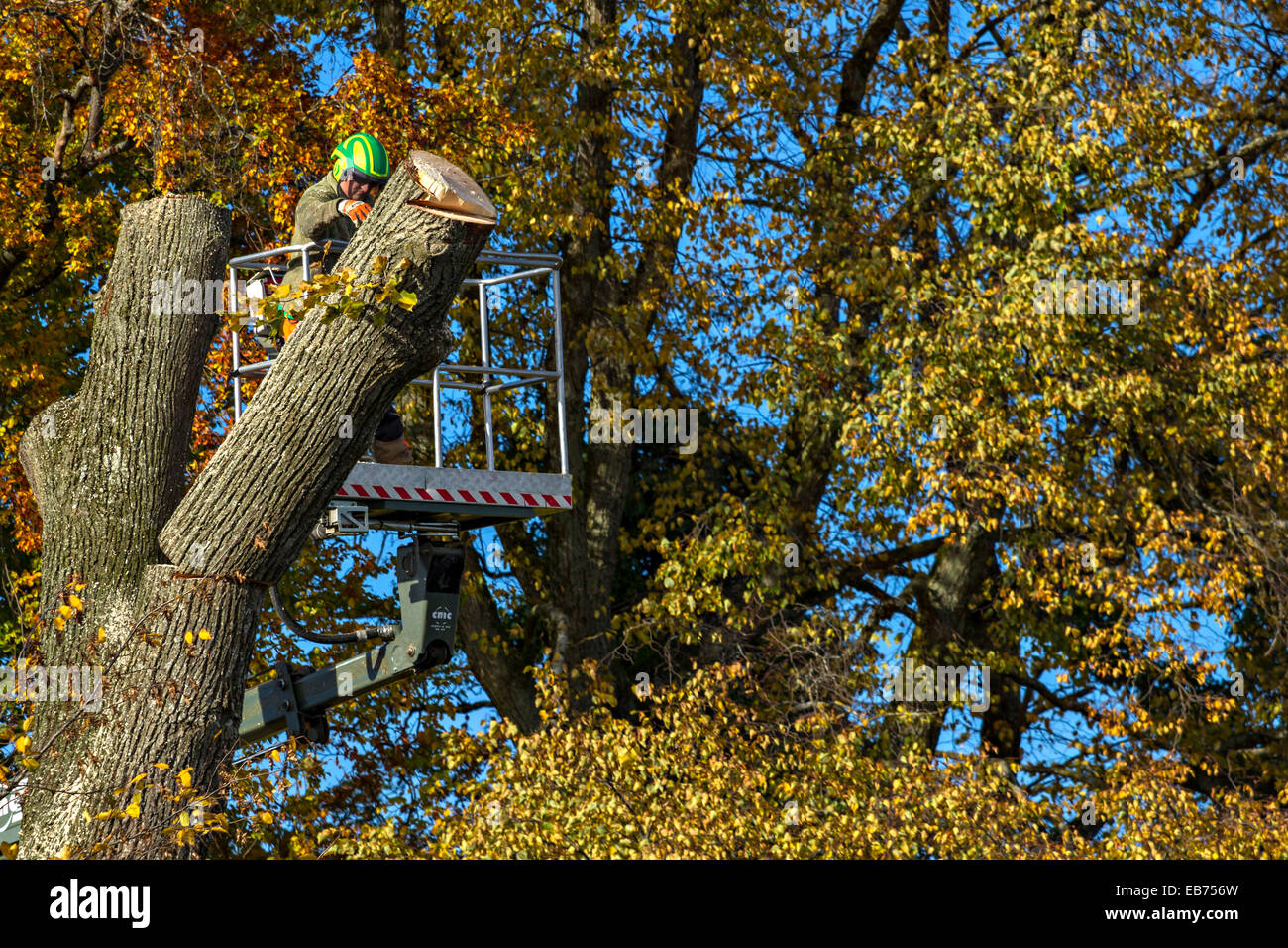 Log picker hi-res stock photography and images - Alamy