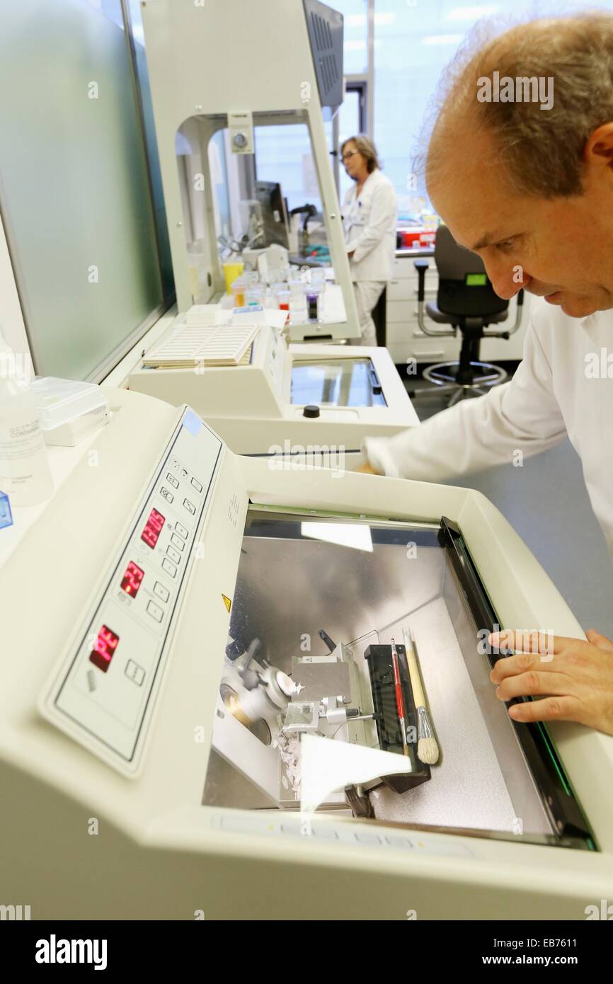 Standard work hi-res stock photography and images - Alamy