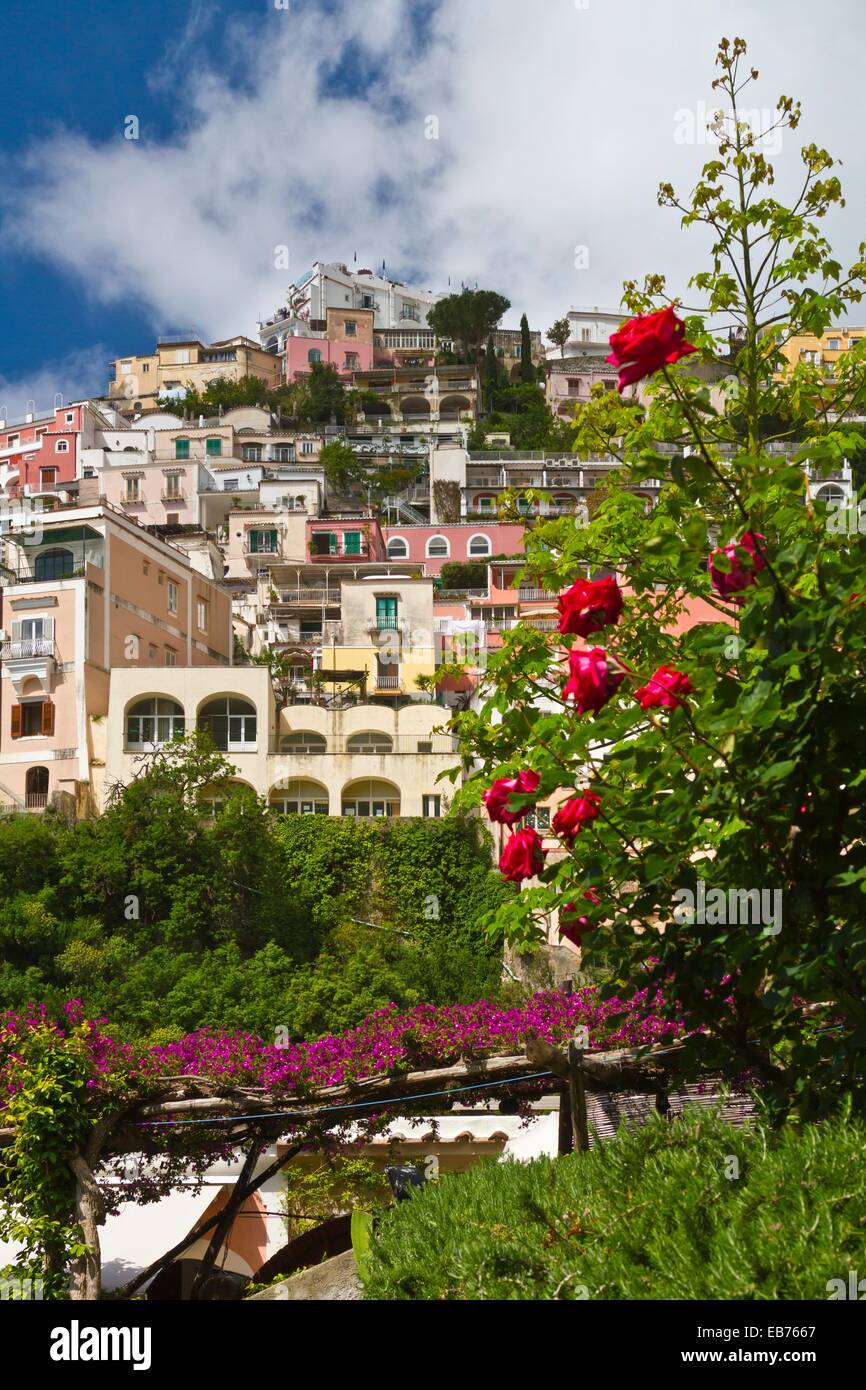 Decorative flowers in Positano, Amafi Coast, Italy Stock Photo - Alamy