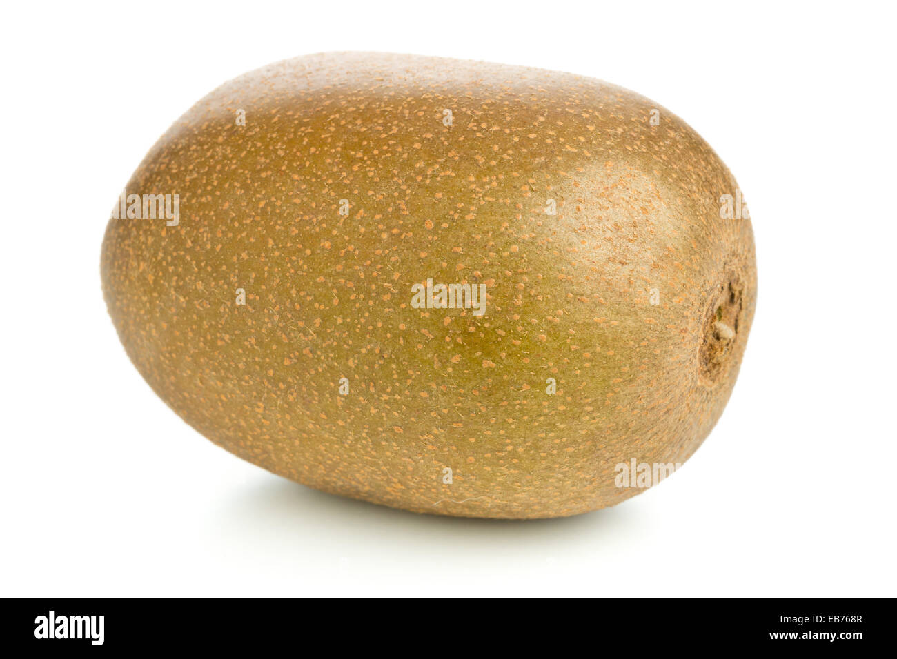 Single, whole golden kiwifruit/ kiwi (Actinidia chinensis) over white ...