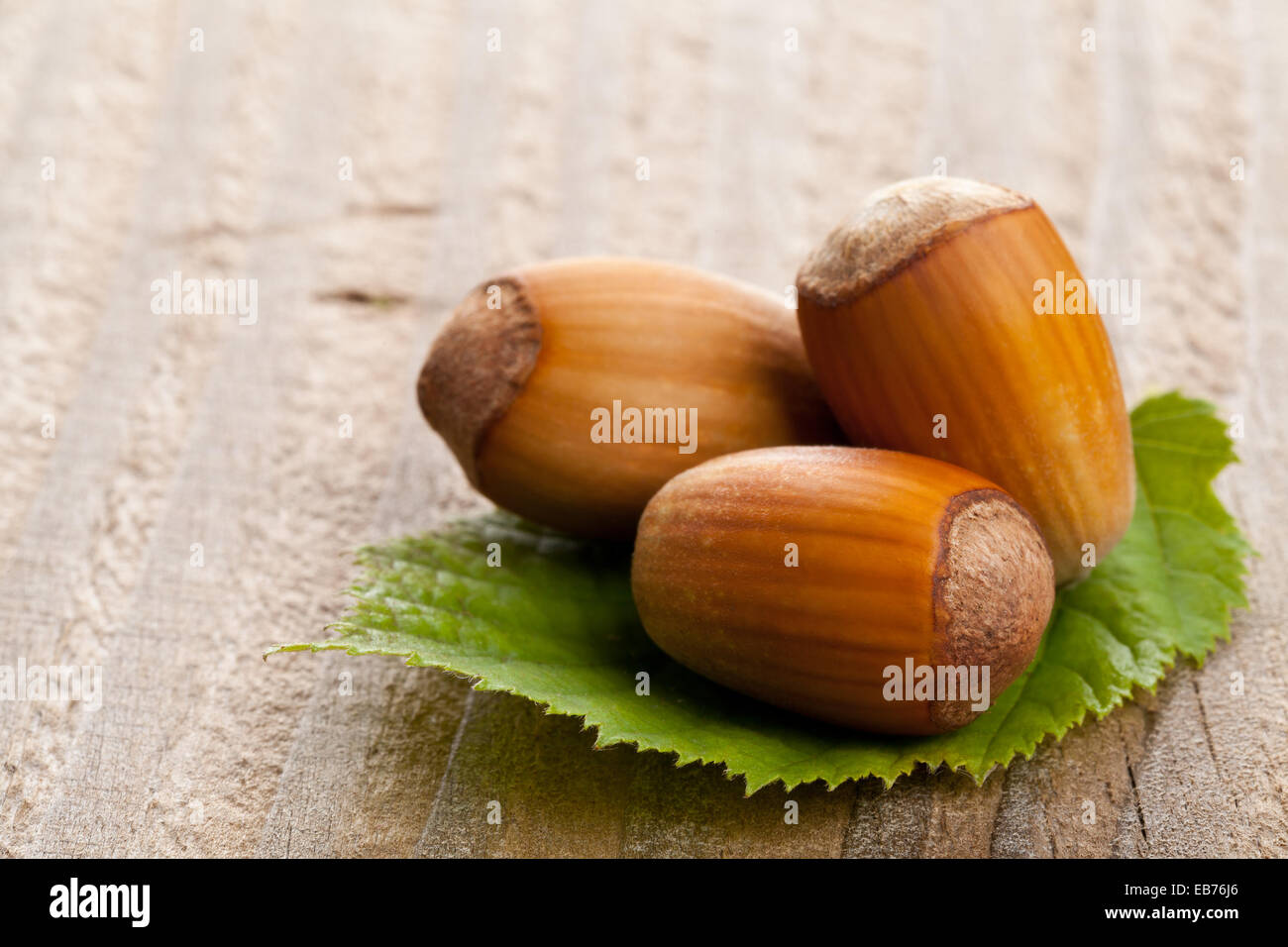 Heap of organic hazelnuts on hazelnut leaf over wood background ...