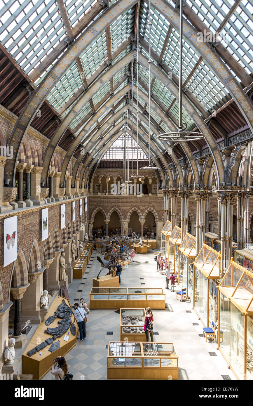 The Oxford University Natural History Museum OUNHM displays the ...