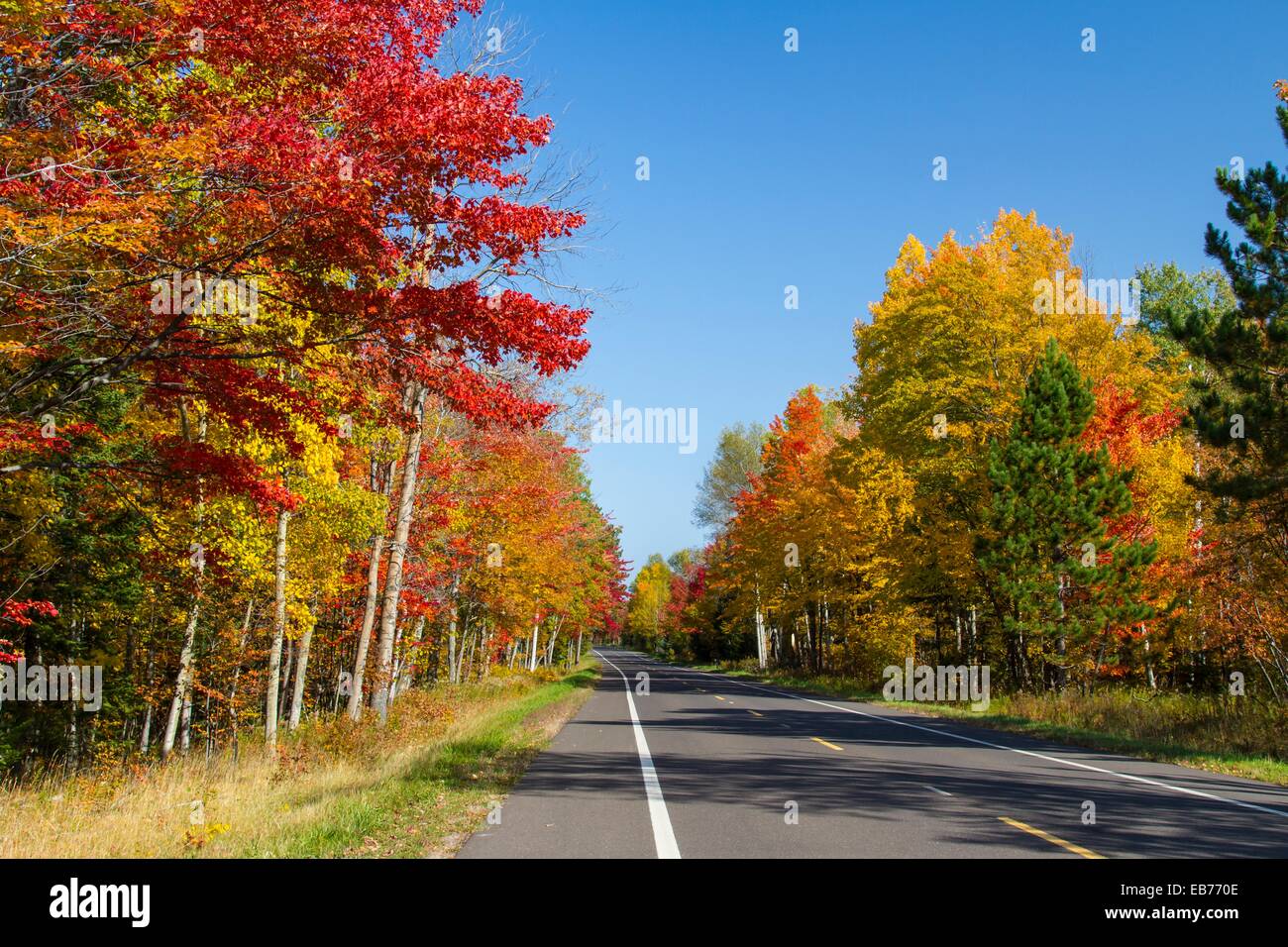 A highway with fall foliage color through the forests of Michigan´s ...