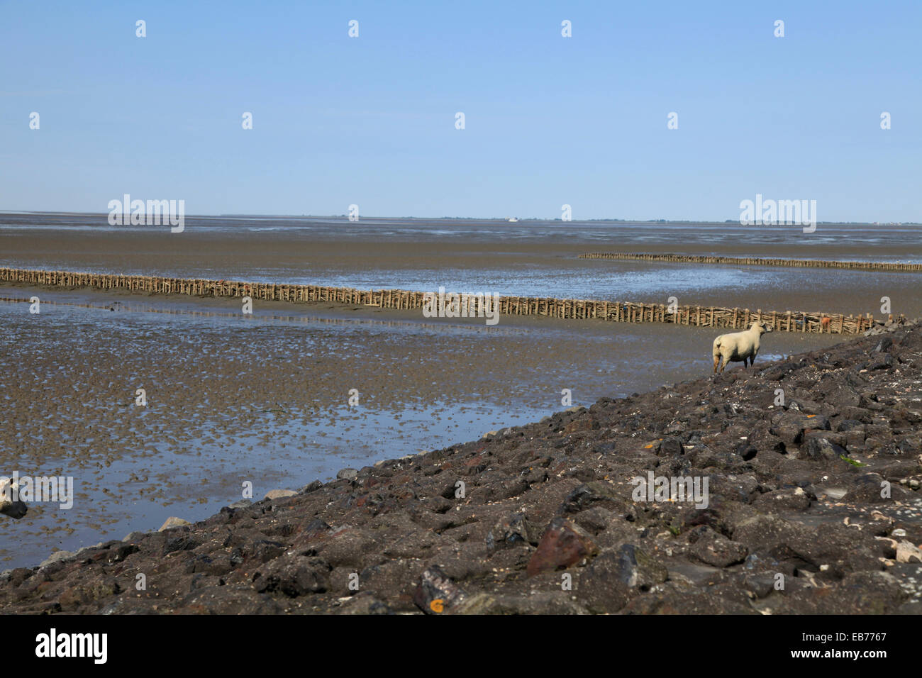 Land Reclamation North Sea Stock Photos & Land Reclamation North Sea ...