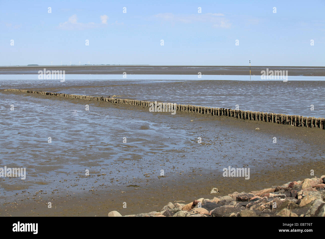 The land reclamation in the Wadden on the North Sea coast has a great ...