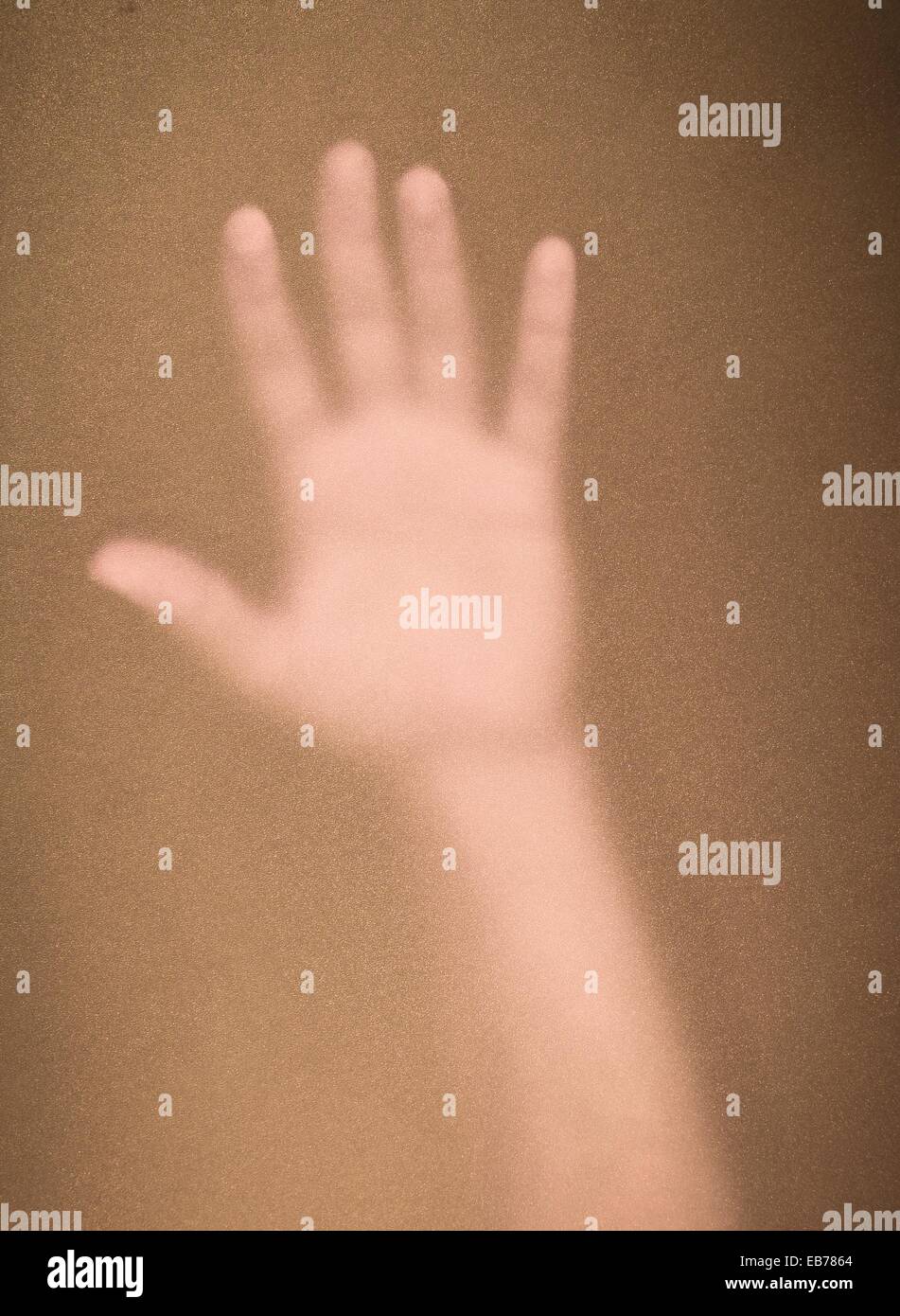 Translucent glass hi-res stock photography and images - Alamy