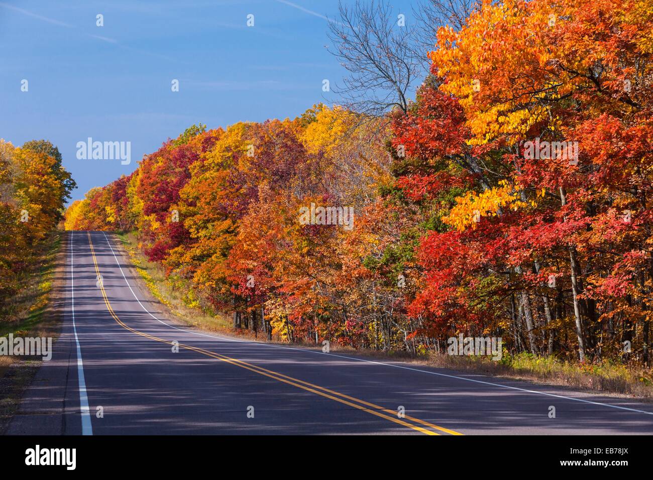 Fall foliage color in the trees along a highway in northern Wisconsin ...