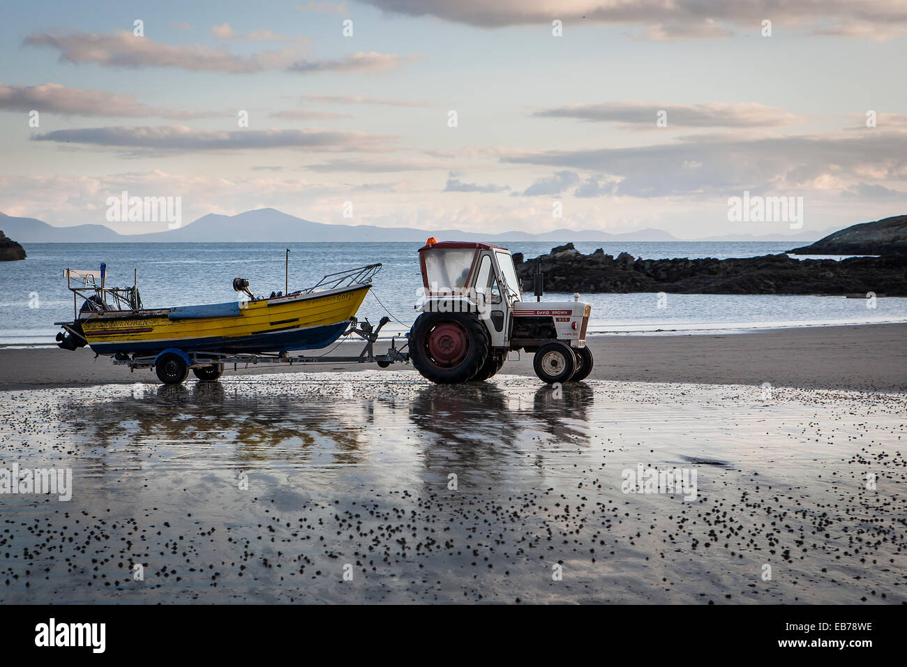 Tractor pulling a fishing boat from the sea and across Rhoscolyn beach ...