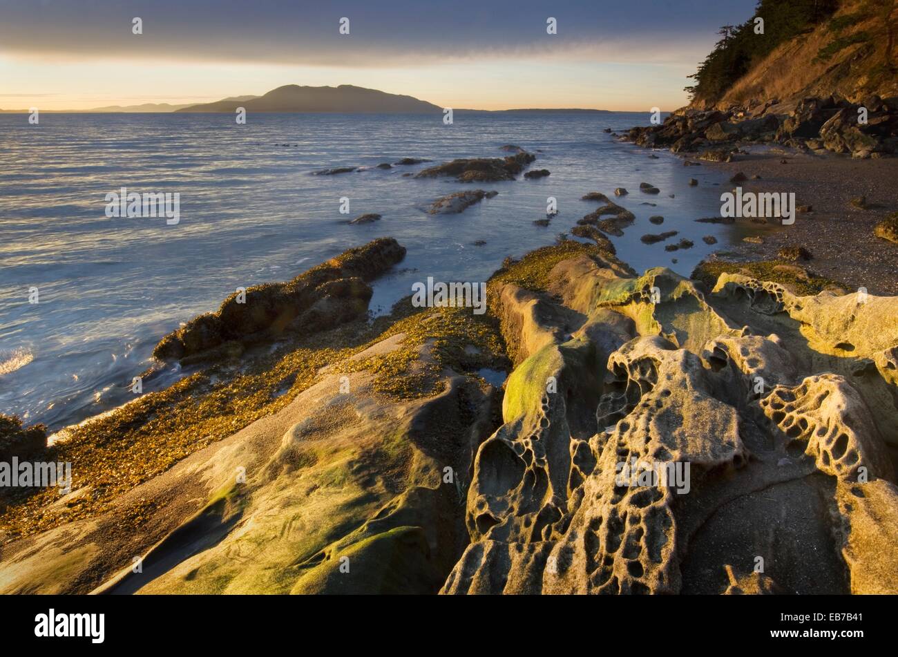 Larrabee beach hi-res stock photography and images - Alamy