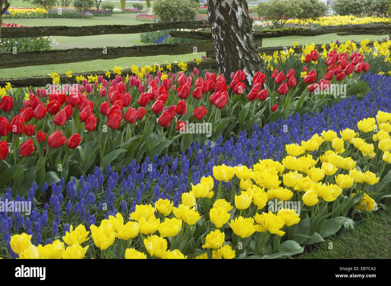 Roozengaarde display garden hi-res stock photography and images - Alamy