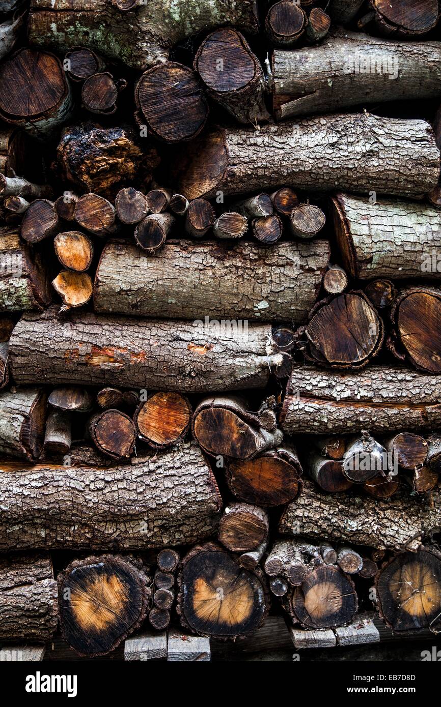 Wood production hi-res stock photography and images - Alamy