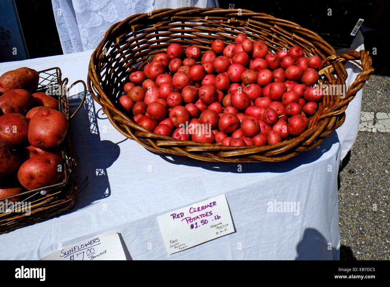 Creamer Stock Photos & Creamer Stock Images - Alamy