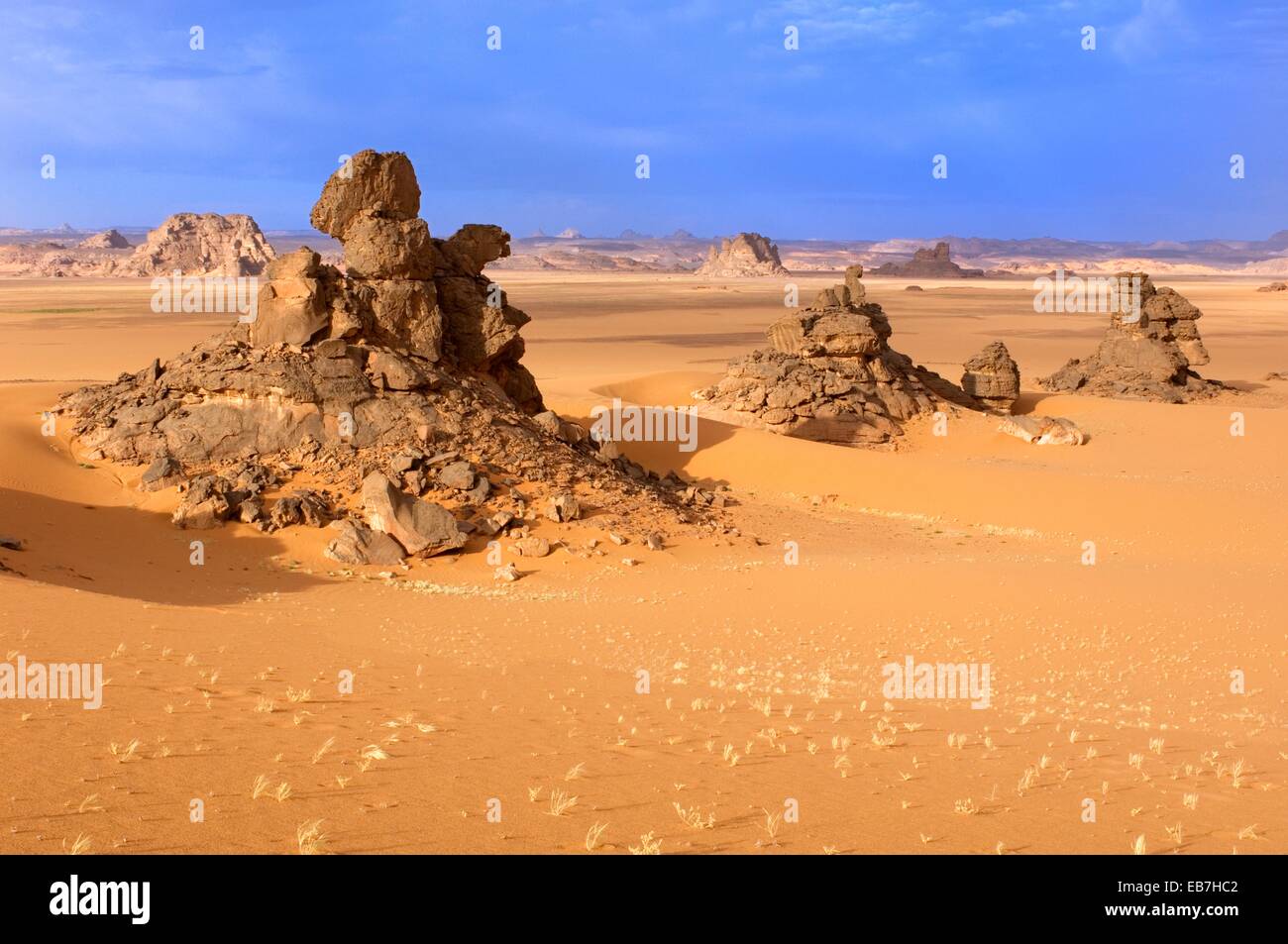Libyan desert grass hi-res stock photography and images - Alamy