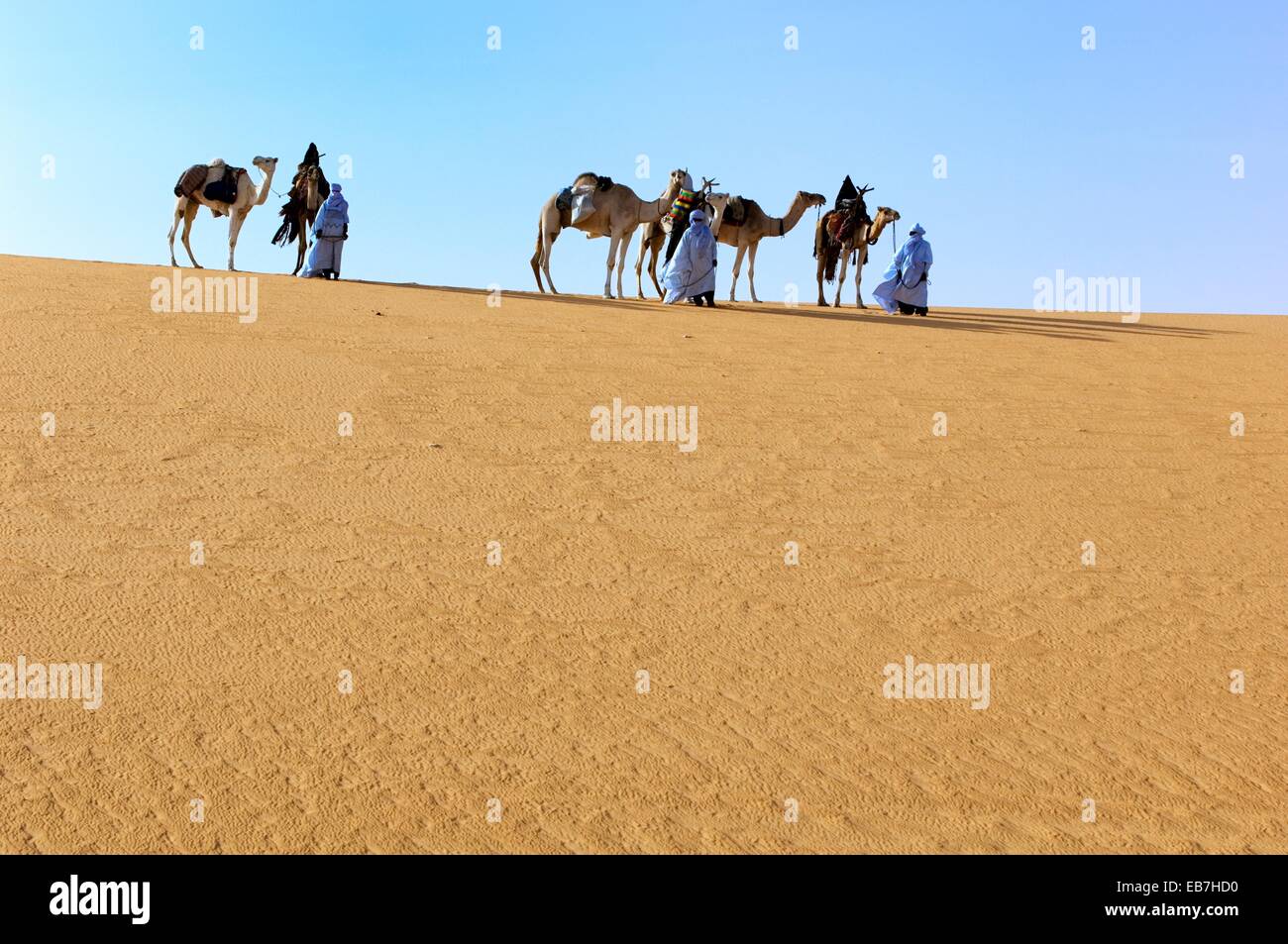 Tuaregs riding camel hi-res stock photography and images - Alamy