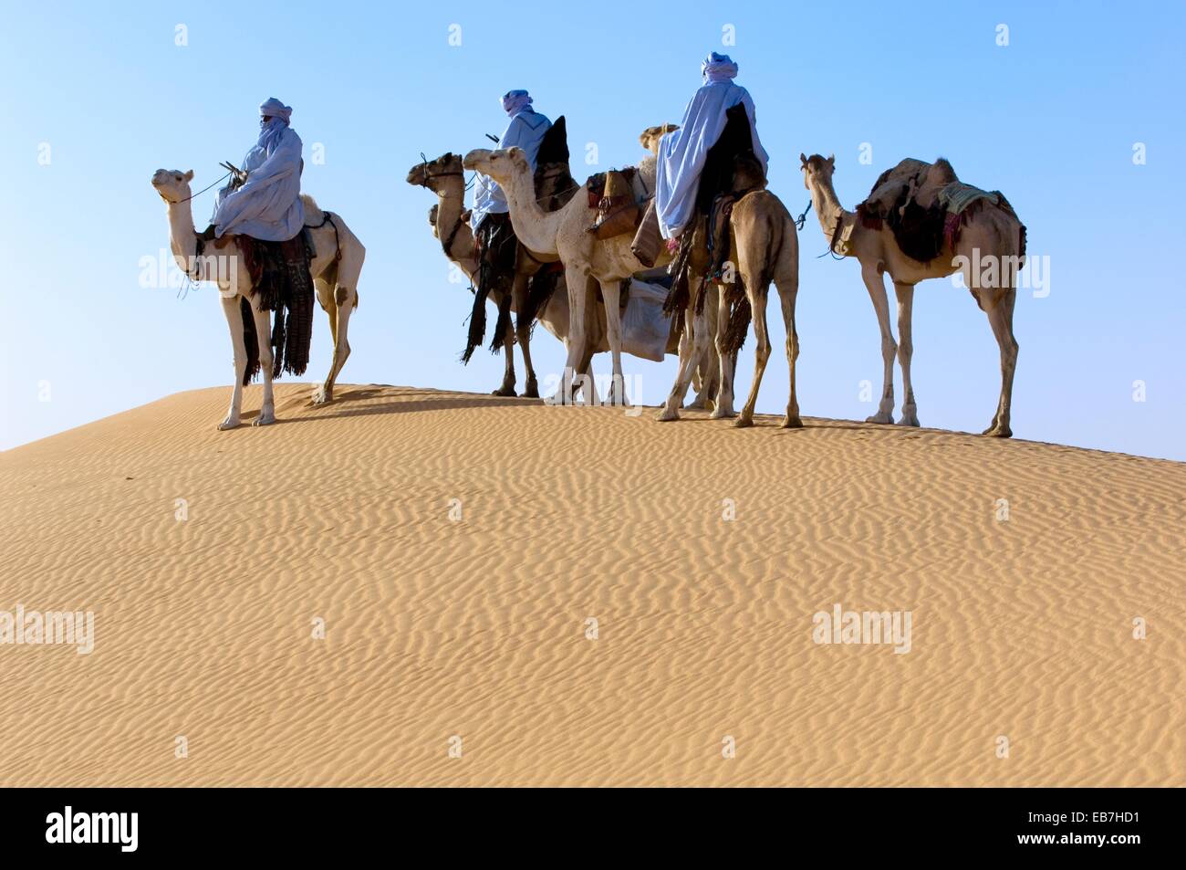 Tuaregs riding Camels; Tuareg Caravan; Libyan Arab Jamahiriya; Libyan ...