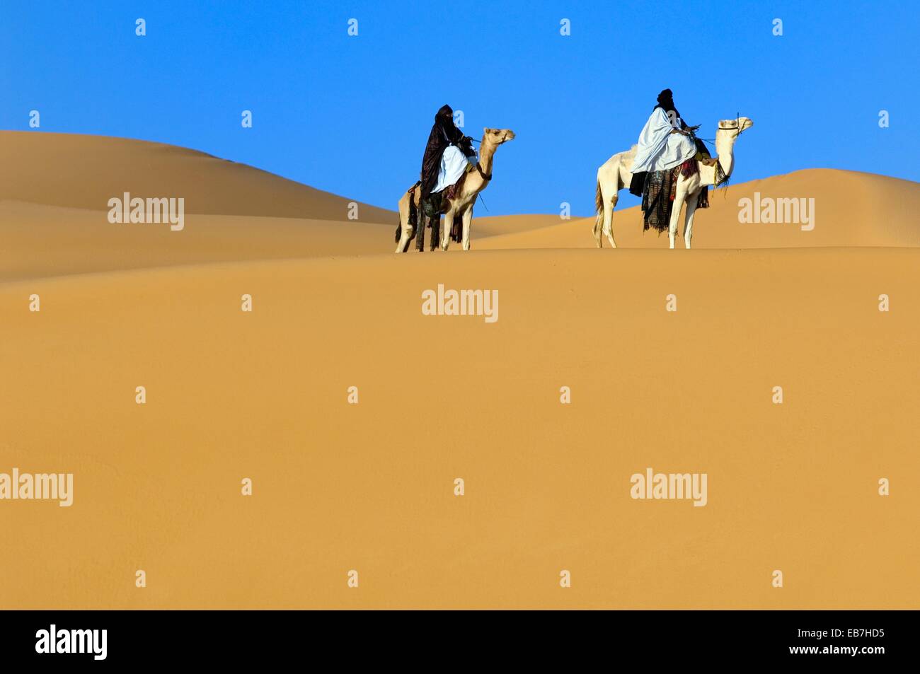 Tuaregs riding camels hi-res stock photography and images - Alamy