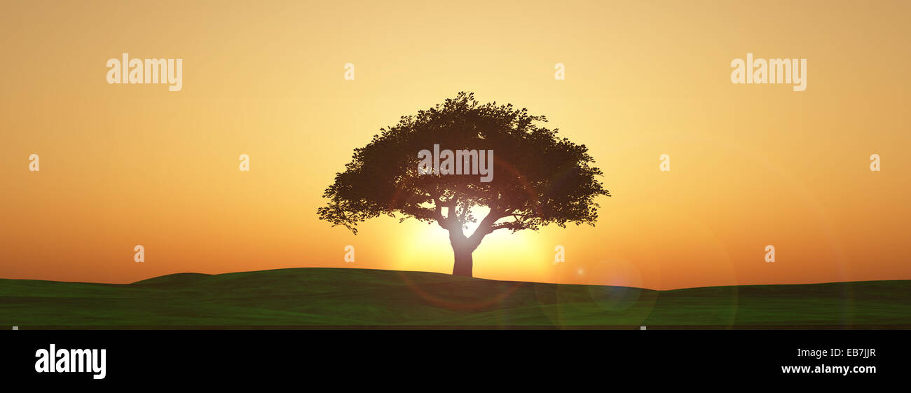 3D render of a sunset tree landscape in widescreen Stock Photo - Alamy