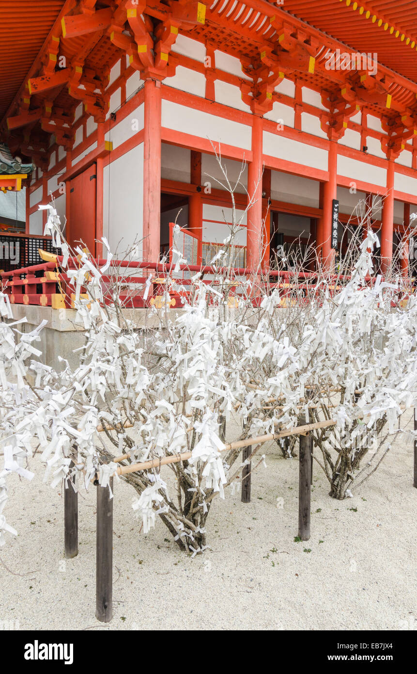 Omikuji good luck paper slips on a branch outside the Main Hall of the ...