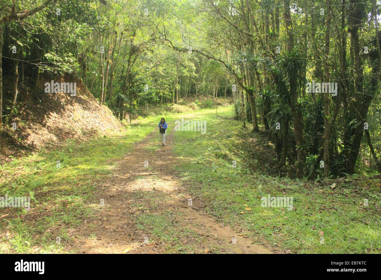 Backpacker, San Eusebio Cloud Forest Merida Venezuela Stock Photo - Alamy