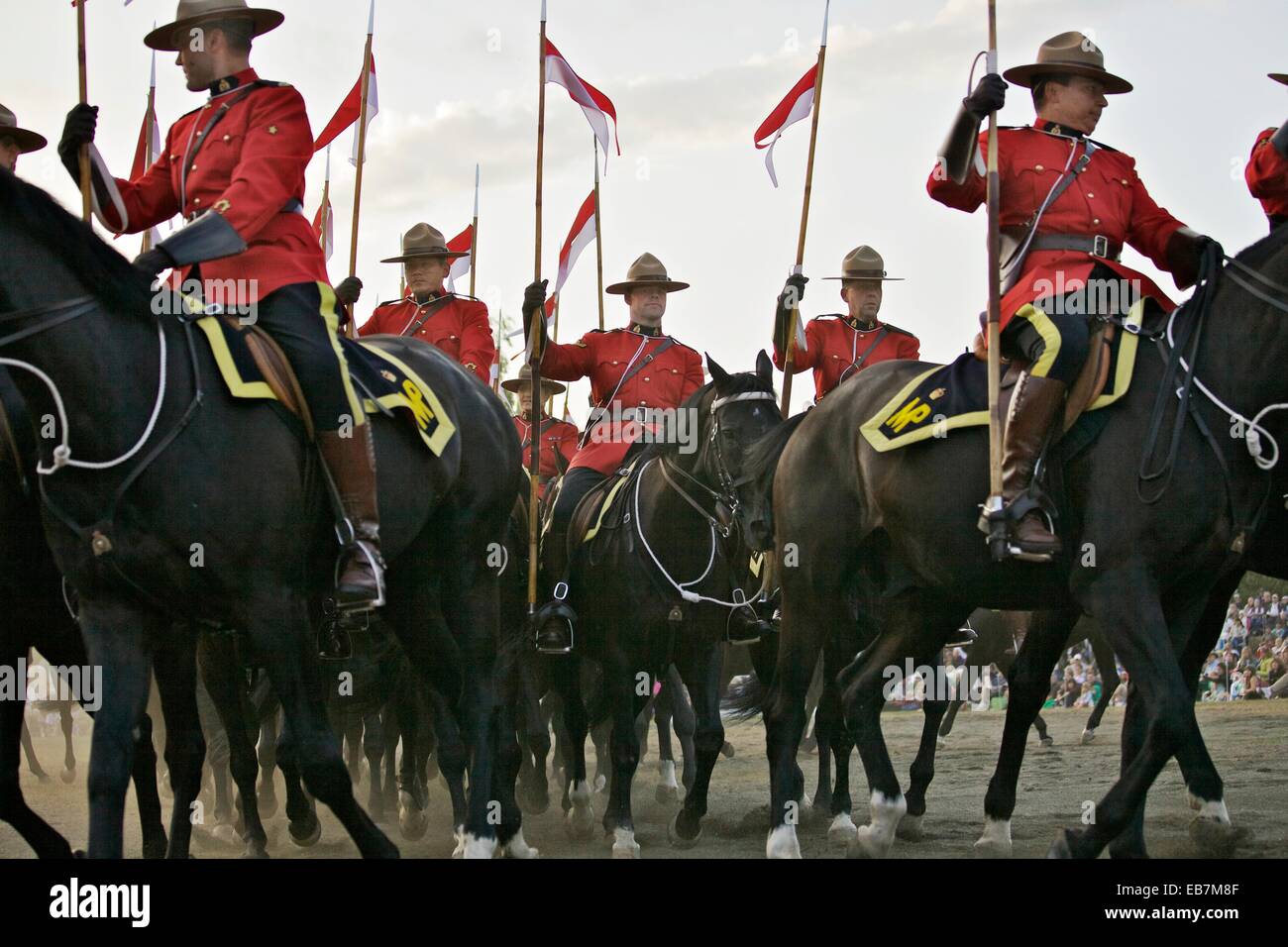 Horses with jackets hi-res stock photography and images - Alamy