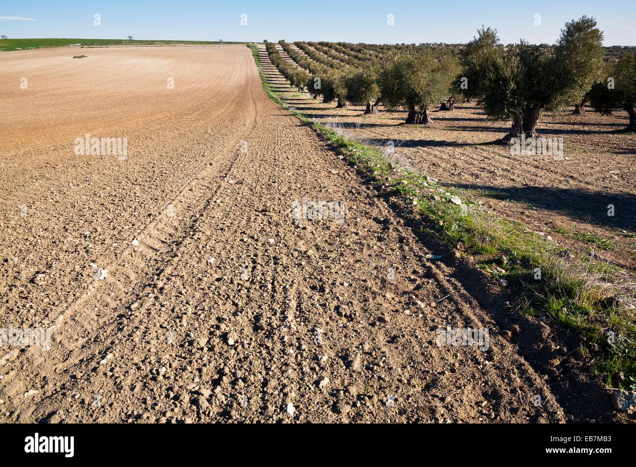 Country in Pinto. Madrid. Spain Stock Photo - Alamy