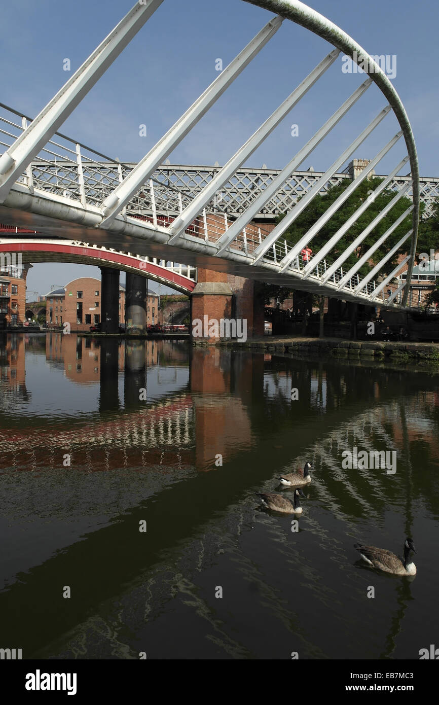 Blue sky portrait, to19th century viaduct reflections, ducks swimming ...